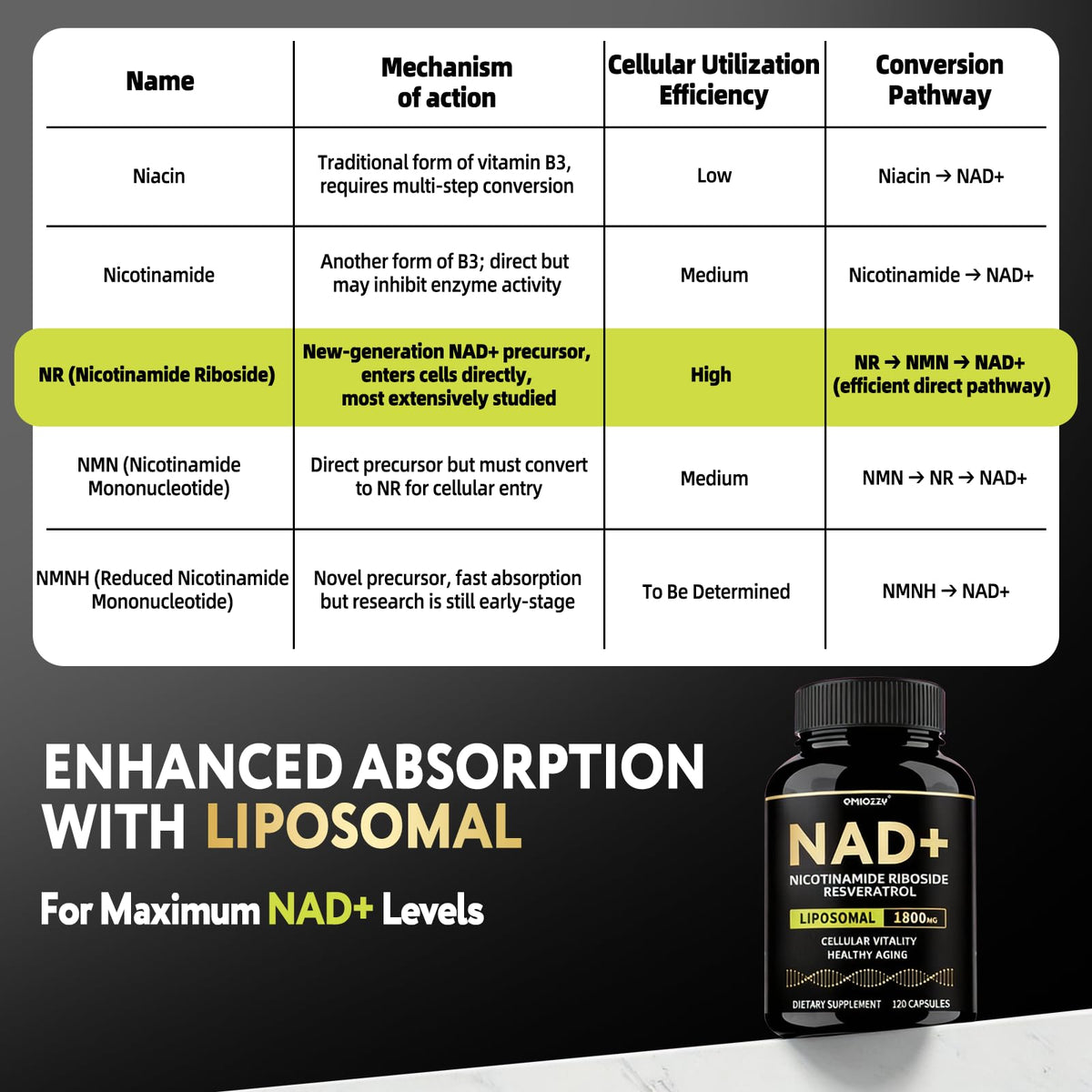 High dose NAD supplement 1800 mg