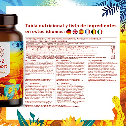 high-dose turmeric for daily health support