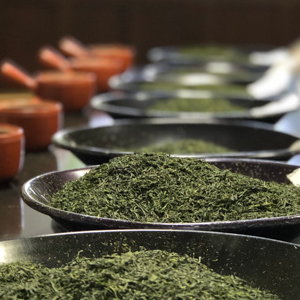 high EGCG green tea content