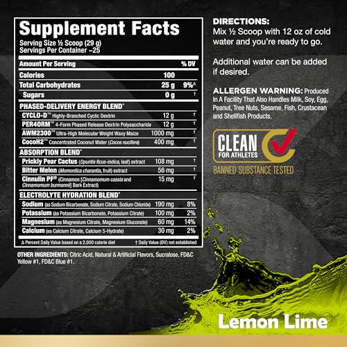 high energy carbohydrate powder