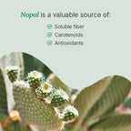 High-fiber cactus capsules for wellness