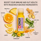 high fiber ginger wellness drink