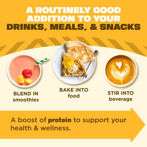 high fiber protein supplement