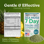high-fiber psyllium husk benefits