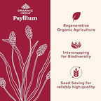 High-fiber psyllium husk for gut health