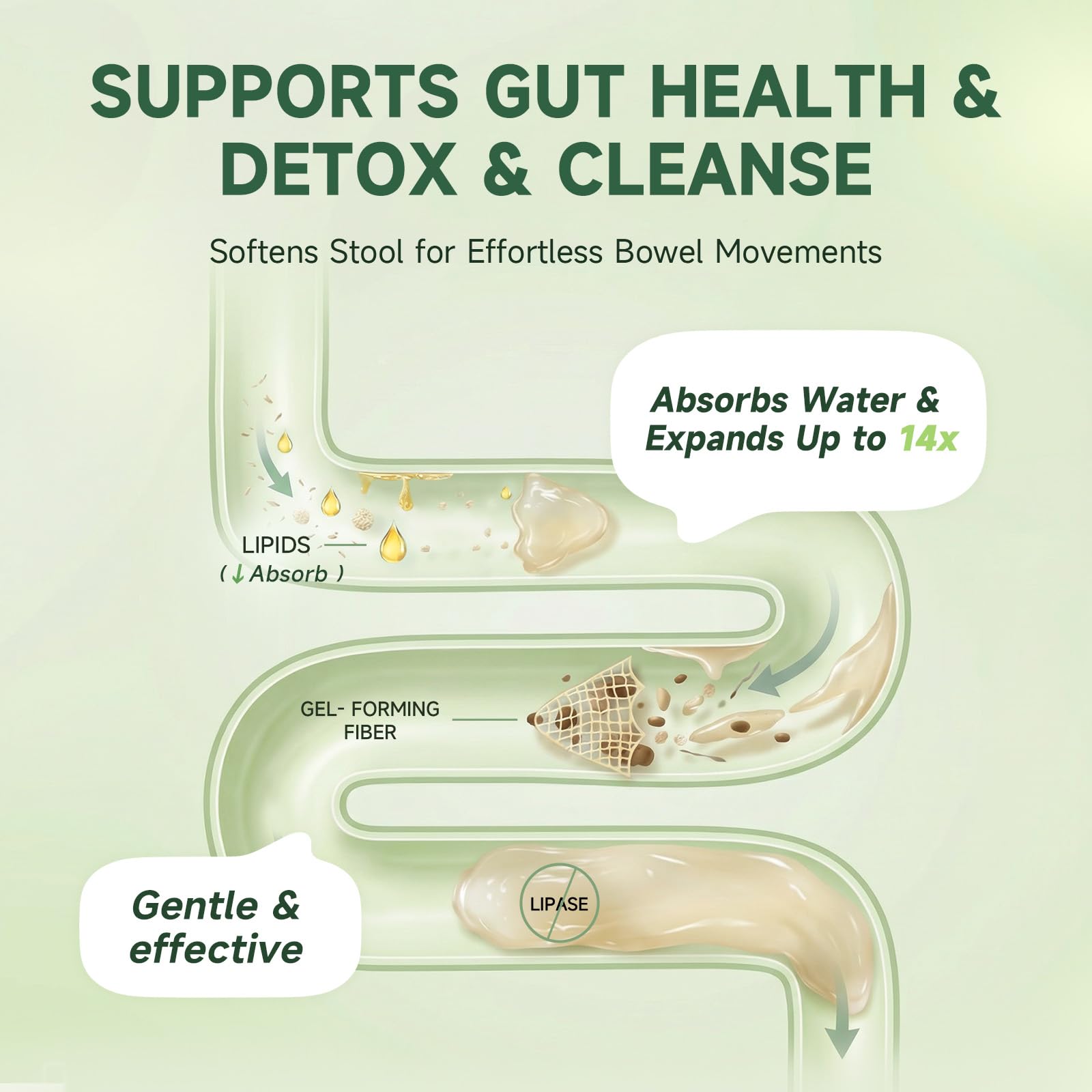 High-fibre capsules for daily wellness
