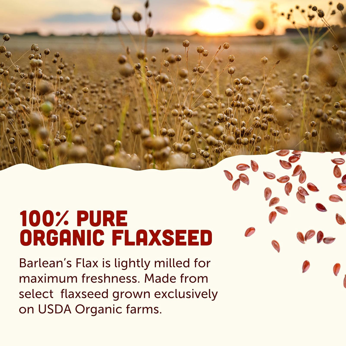 high-fibre organic flaxseed for digestion