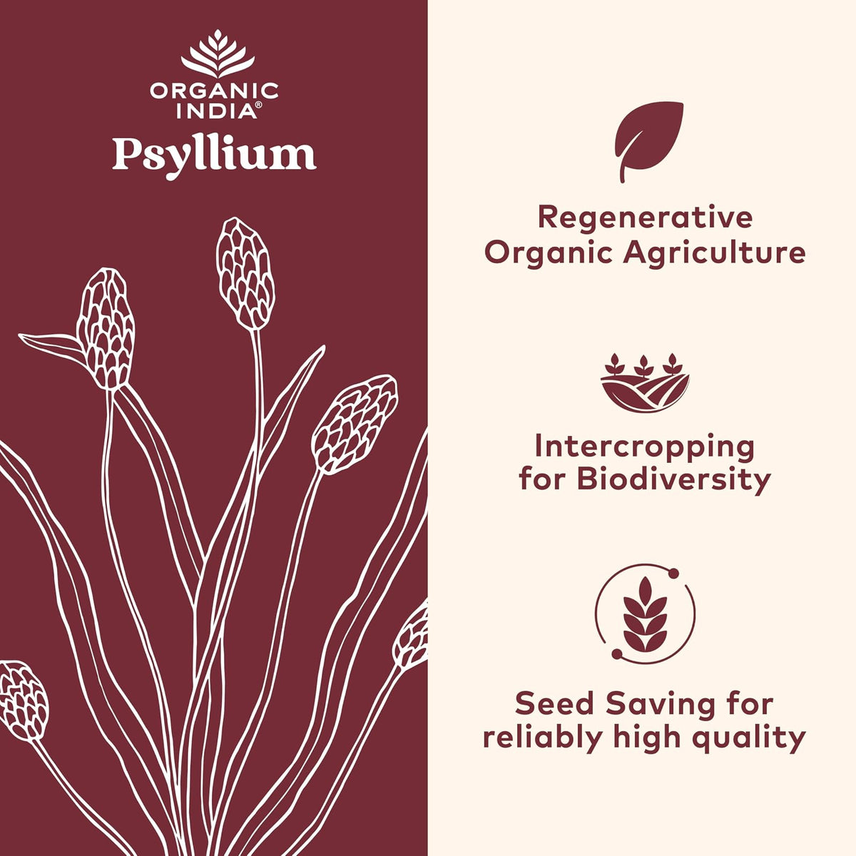 high-fibre psyllium husk supplement