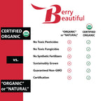 high-fibre red raspberry seed supplement