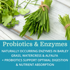 high-fibre supplement for detox
