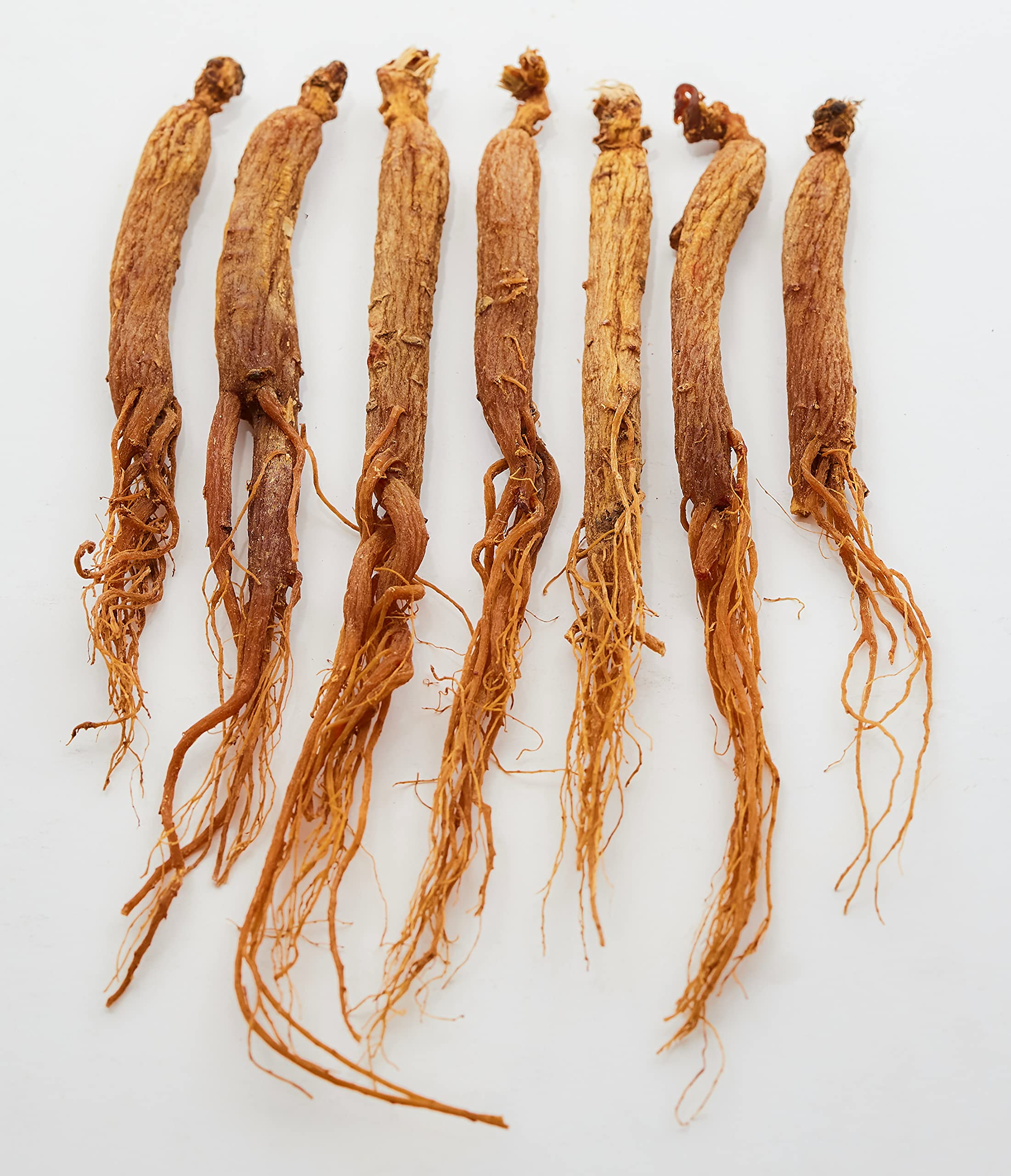 High ginsenosides red ginseng benefits
