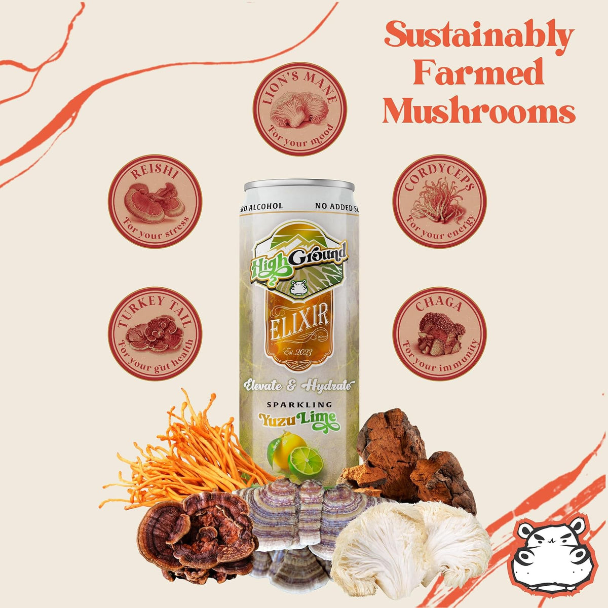 High Ground mushroom blend for energy