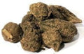 High John the Conqueror root benefits