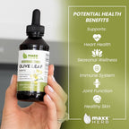 High oleuropein content olive extract