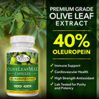 high oleuropein olive leaf extract