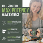 high oleuropein olive leaf supplement