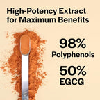 high polyphenol green tea extract