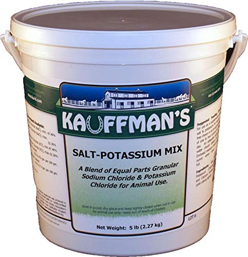 high potassium supplement for health