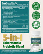 high potency 100 billion CFU probiotics