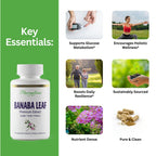 High potency 12:1 Banaba capsules