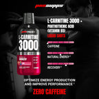 high potency acetyl L-Carnitine formula