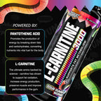 high potency acetyl L-Carnitine formula