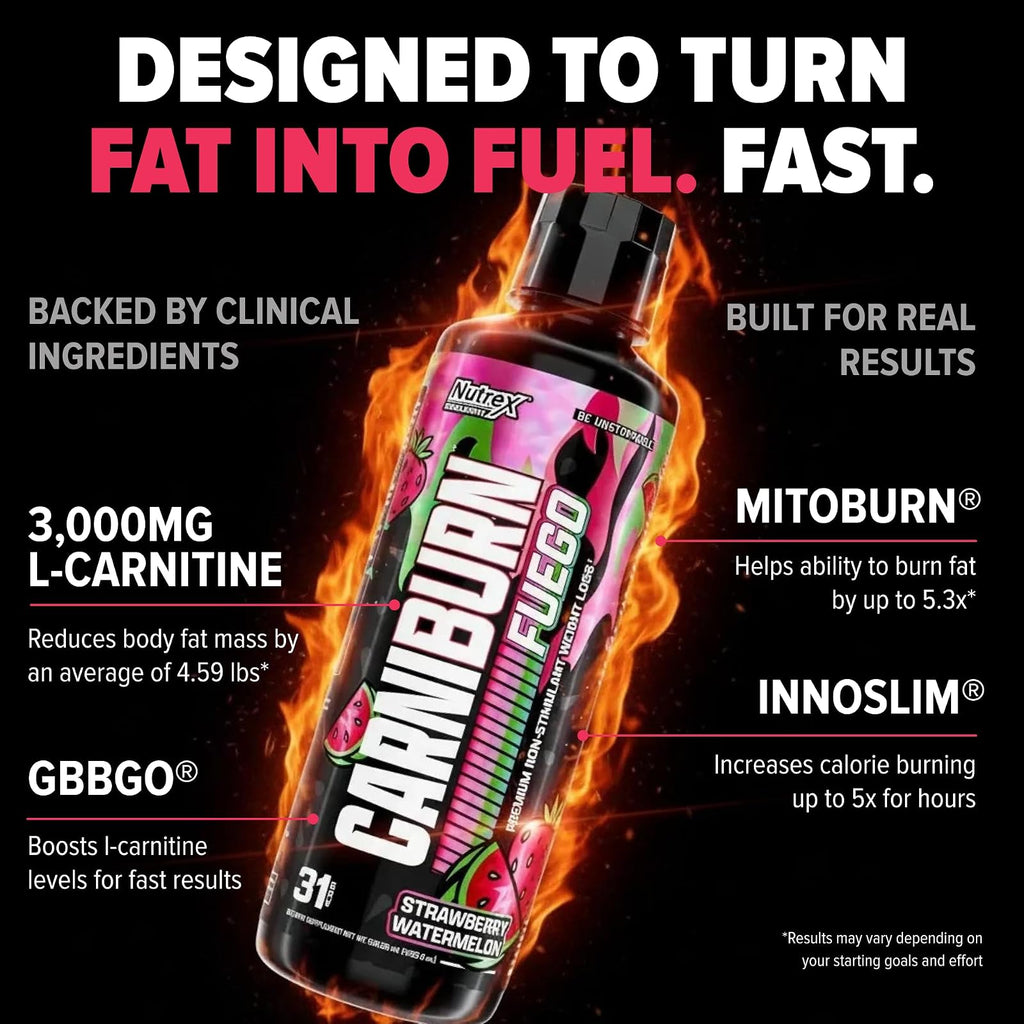 high potency acetyl l-carnitine formula