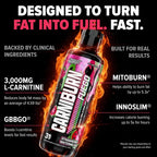 high potency acetyl l-carnitine formula