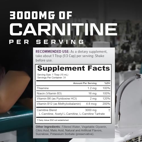 high potency acetyl l-carnitine formula