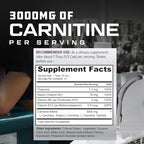 high potency acetyl l-carnitine formula