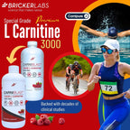 high potency acetyl L-Carnitine formula