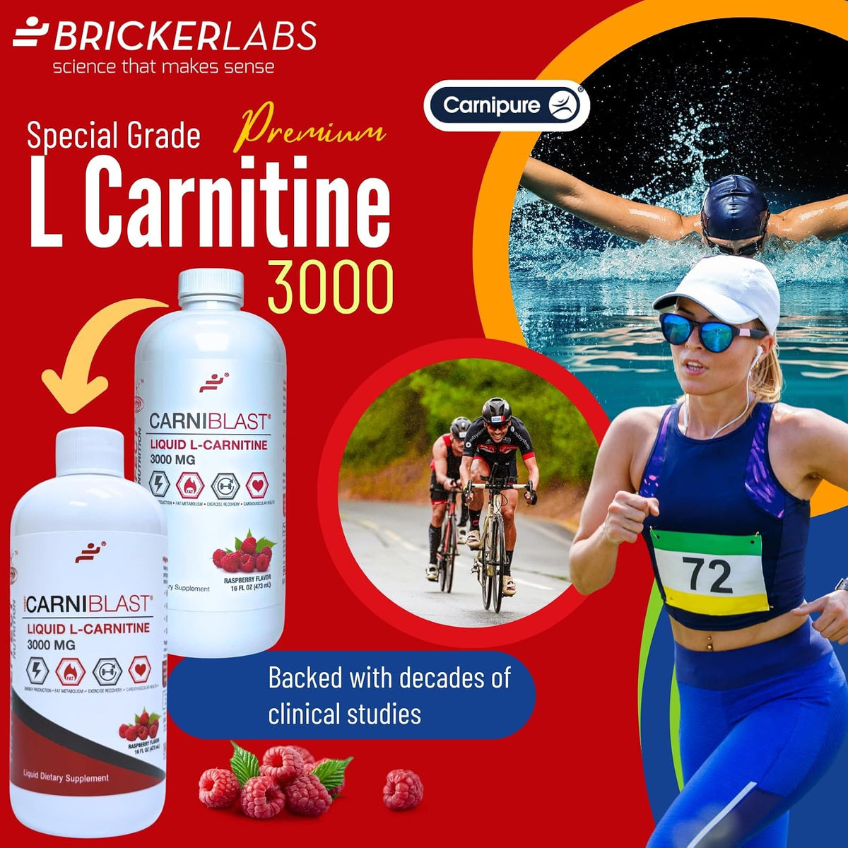 high potency acetyl L-Carnitine formula