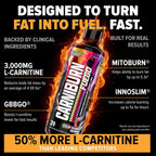 high potency acetyl L-Carnitine formula