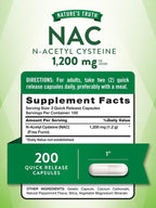 high potency acetyl l-carnitine supplement