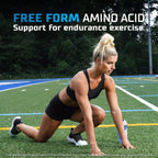 high potency acetyl l-carnitine supplement