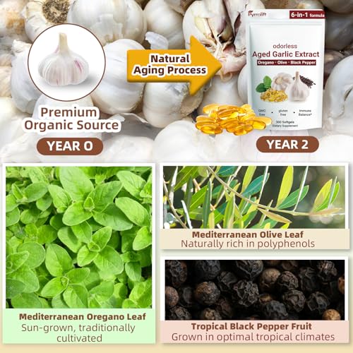 High potency aged garlic extract
