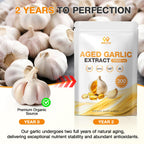 High potency aged garlic supplement