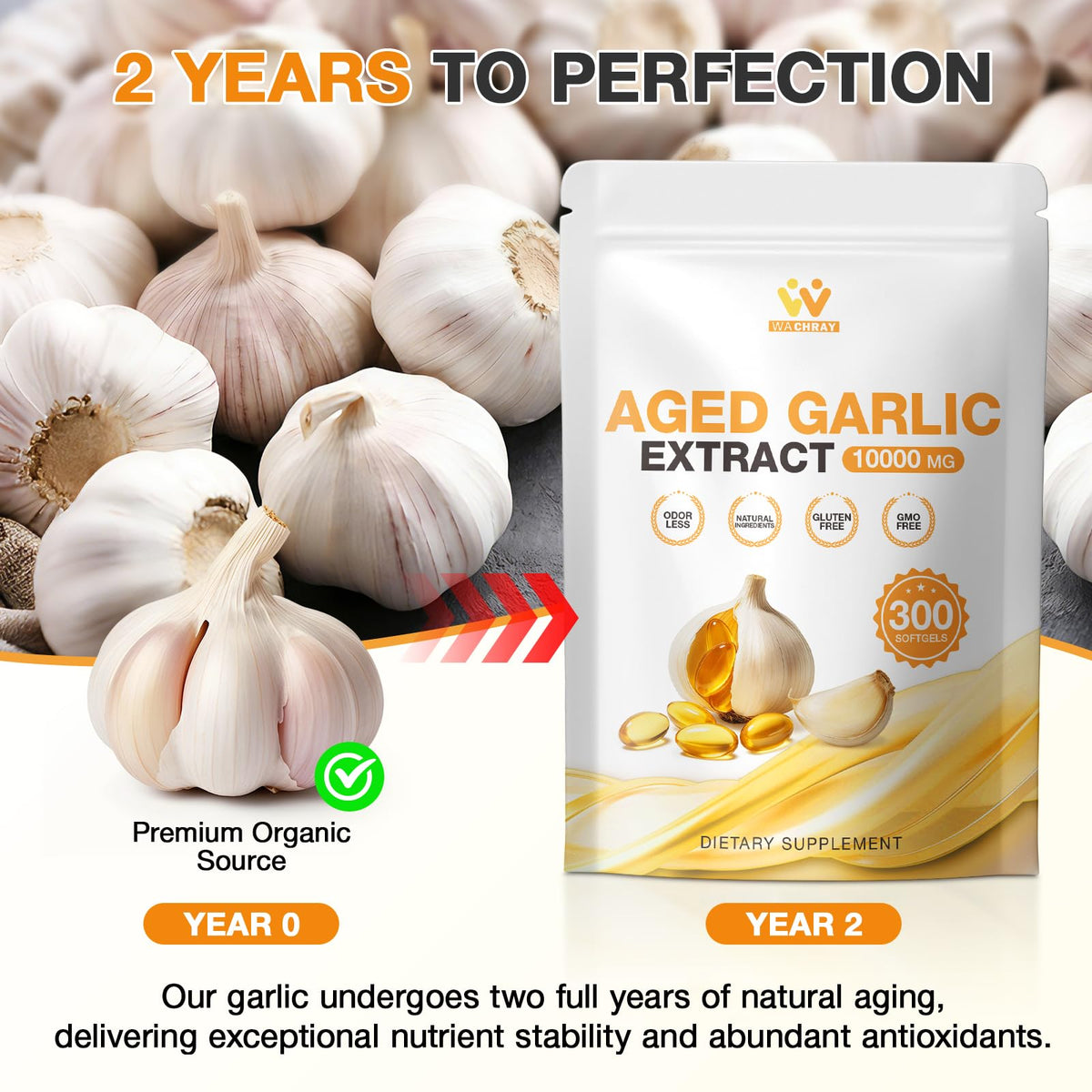 High potency aged garlic supplement