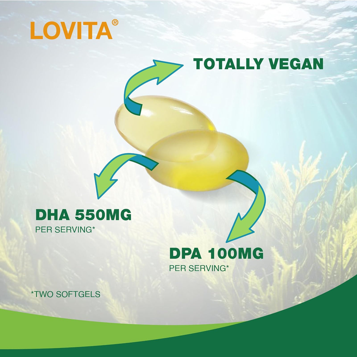 high potency algae oil capsules