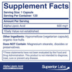 high potency alpha lipoic acid capsules