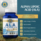 high potency alpha lipoic acid capsules