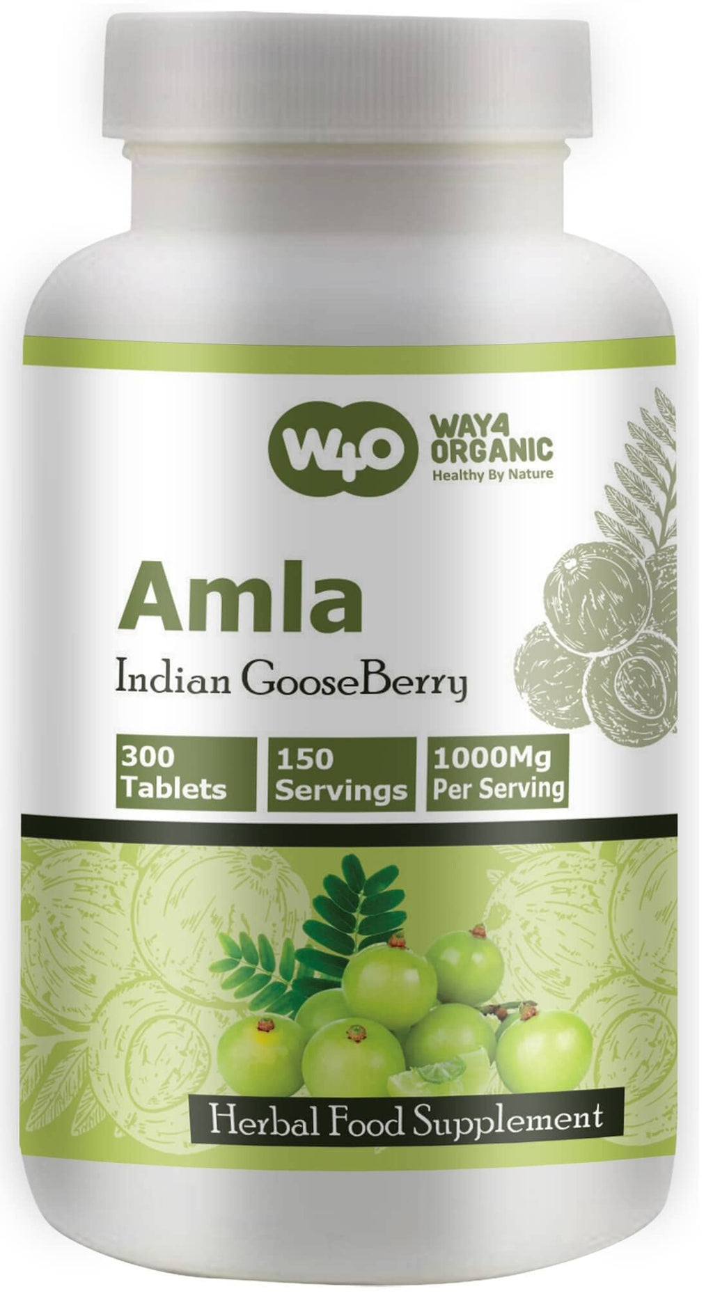 High potency amalaki fruit extract