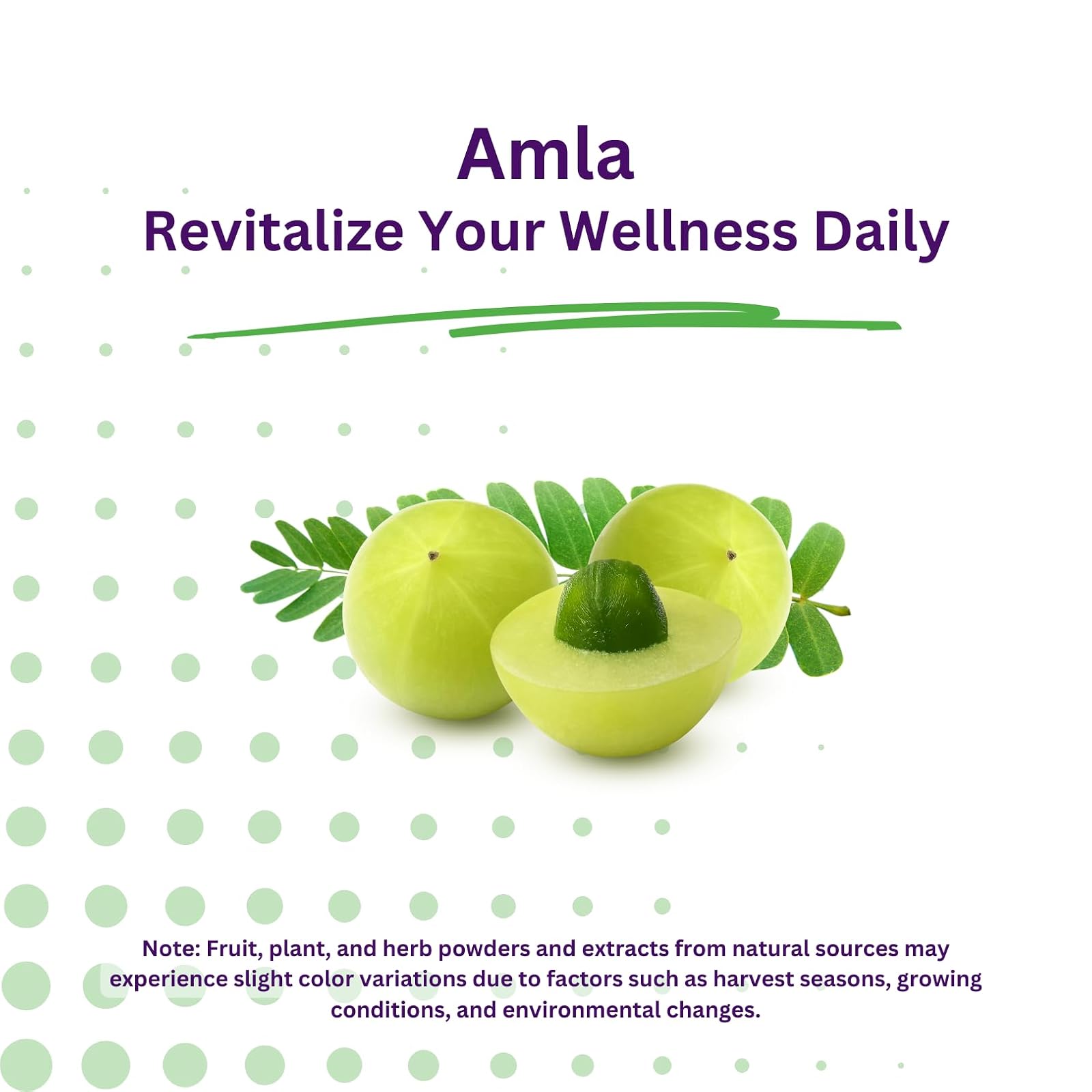 high potency Amla capsules for wellness