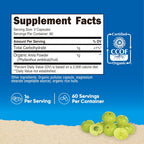 High potency Amla vitamin C supplement