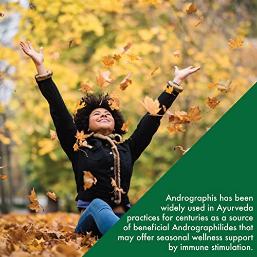 high potency andrographis extract