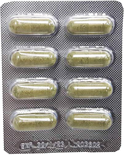 high potency andrographis paniculata capsules