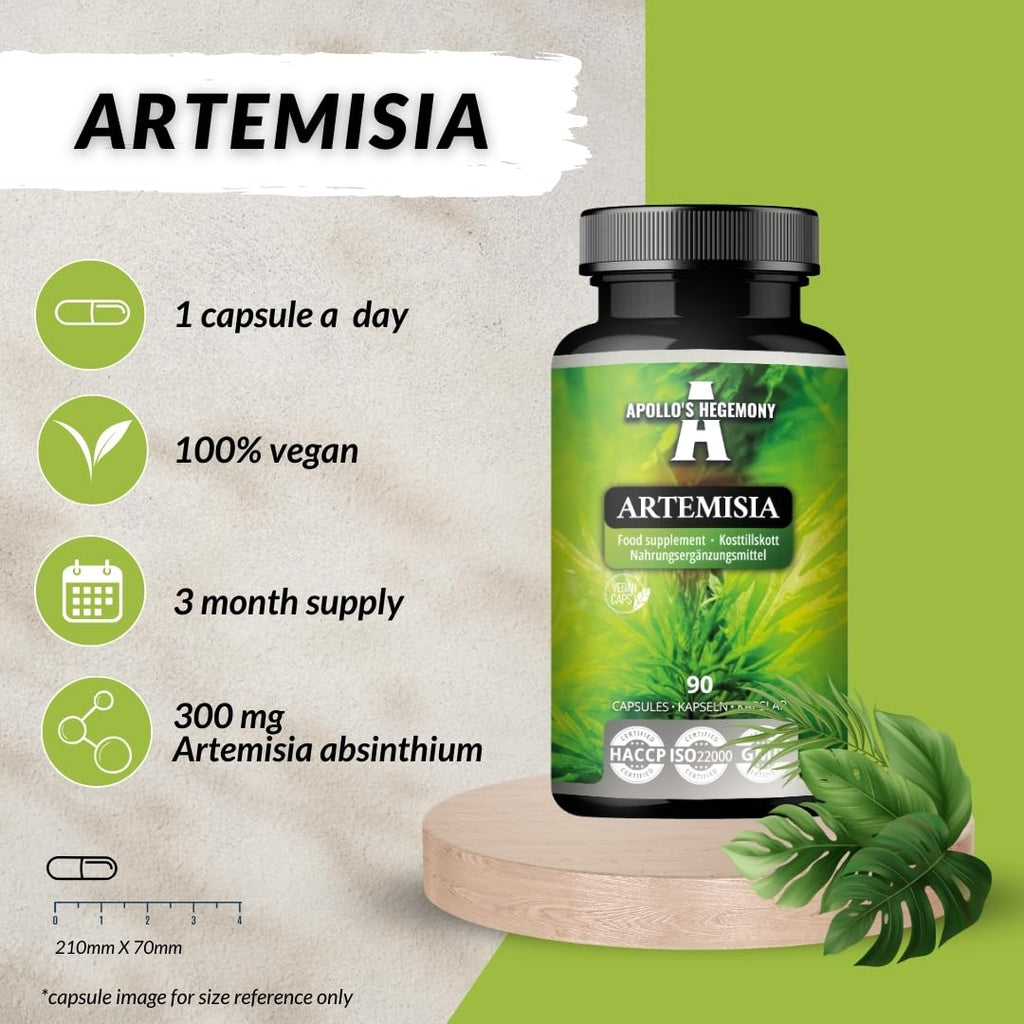 high potency Artemisia capsules