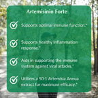 high potency Artemisinin Pro capsules