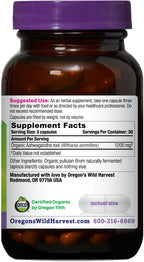 high potency ashwagandha 1200 mg