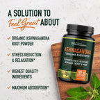 high potency ashwagandha 1300 mg